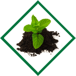 About – Black Diamond Soil Services